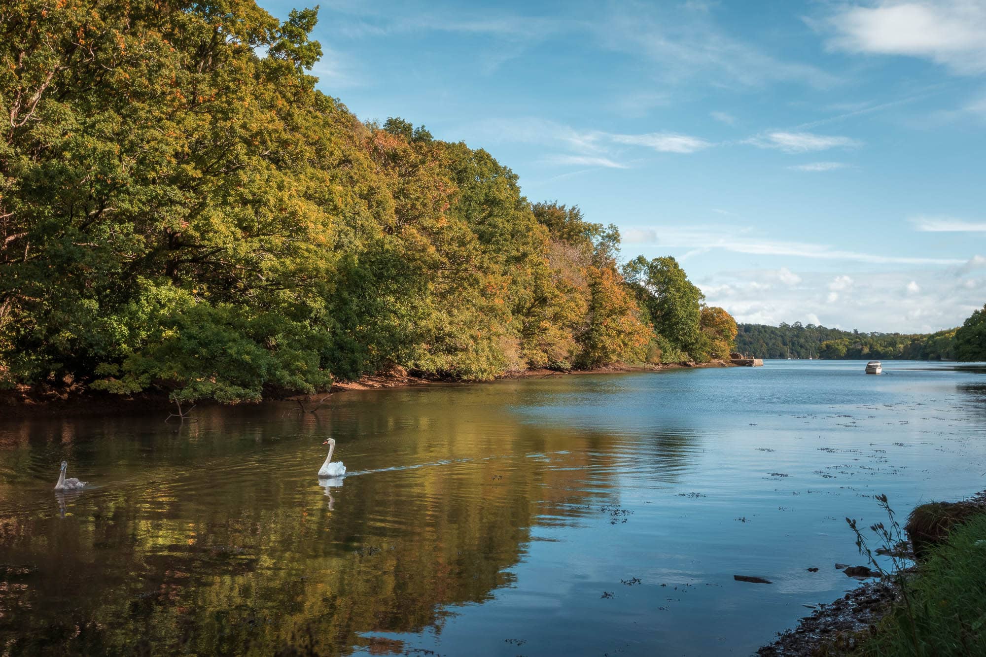 Creek Dittisham South Devon - Simon Plant Photographer | Retoucher